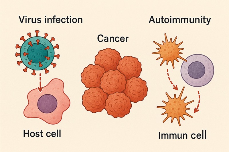 RESEARCH - Roy Immunity Lab